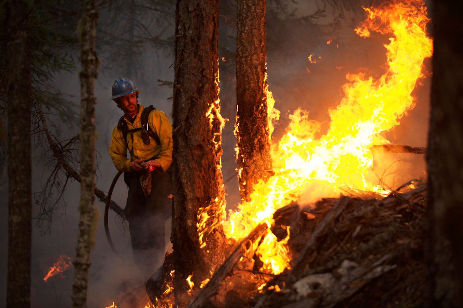 The Stress of Wildland Firefighting | Frontline Responder Services